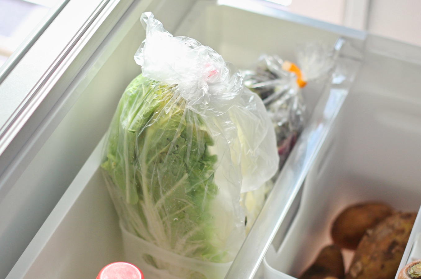 [セリア]やわらか野菜ストッカーで野菜室に秩序を！その特徴を紹介 | コダテ生活